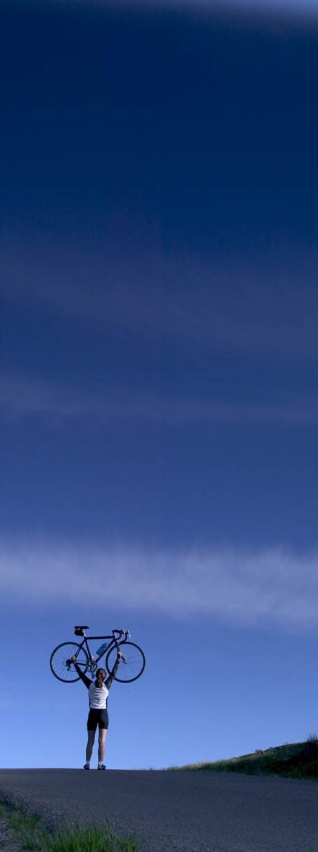 How We Work | Pure Form Design Studio